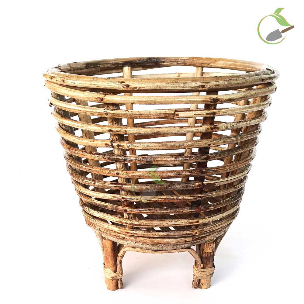 Planter Stand - Cane(L) - Online Plant Nursery in Guwahati