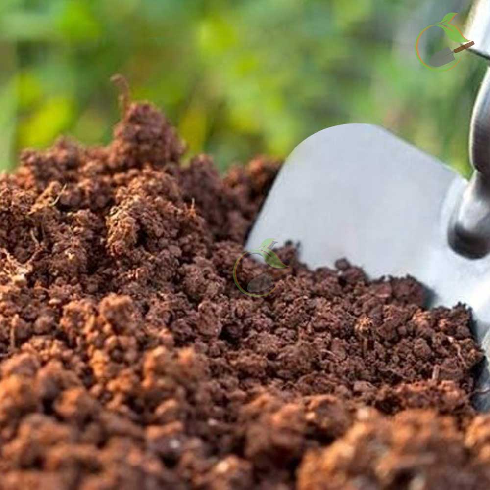 Soil Mix - Potting Soil 10KG - Creative Garden - Online Plant Nursery ...
